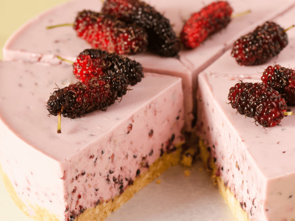 Mulberry Cheesecake – Passion Gardens